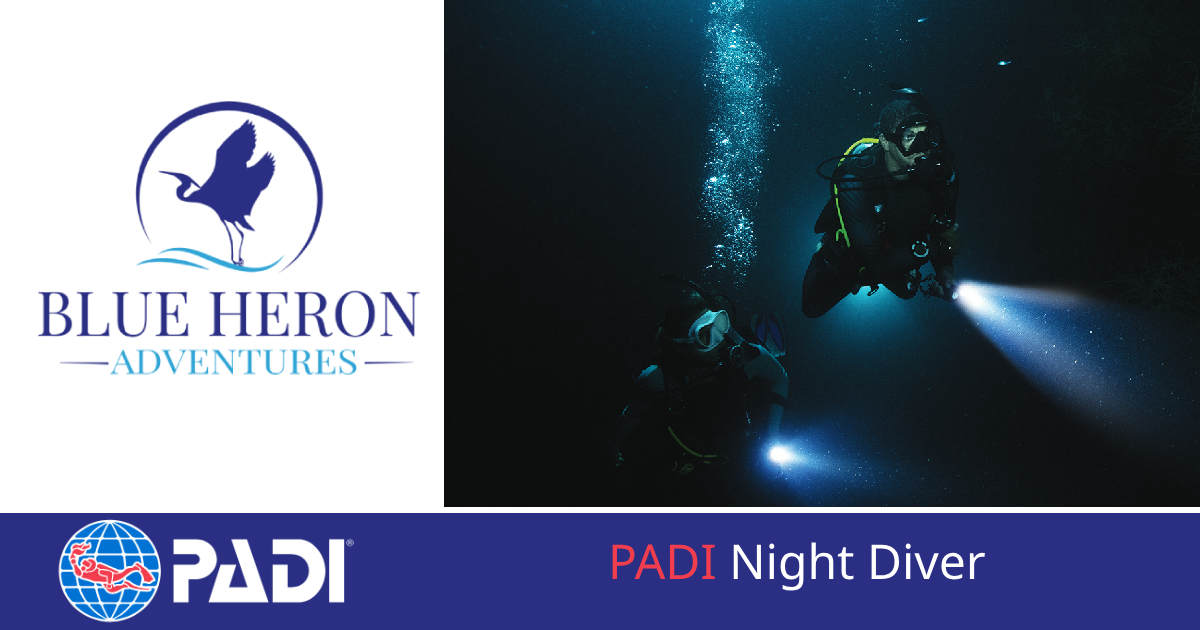 PADI-NIGHT DIVER